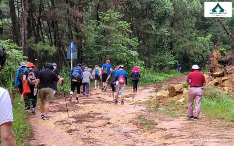 Review Trang Thiều Camping – Địa điểm camping gần Hà Nội